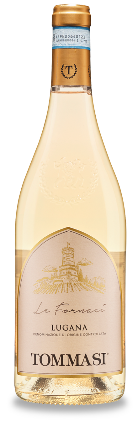 Lugana DOC 2024, 75 cl - Tommasi | Online kaufen